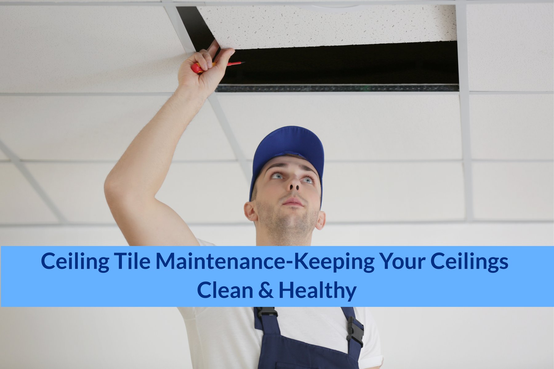 Ceiling Tile Maintenance - Keeping Your Ceilings Clean and Healthy